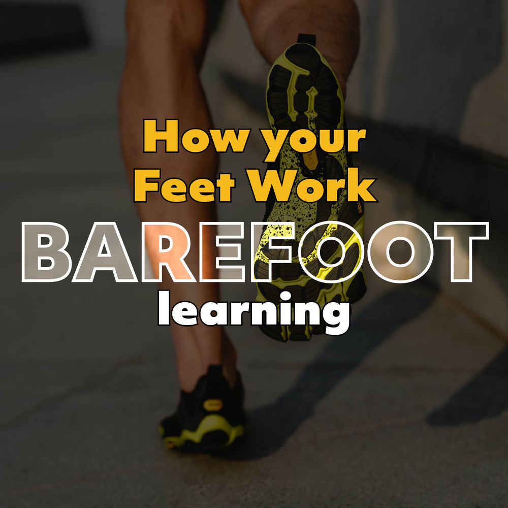 How your feet Work